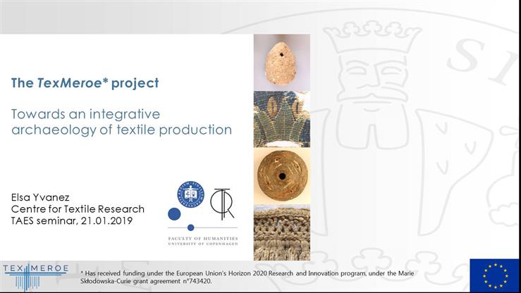 TAES Elsa Yvanez The TexMeroe project. Towards an integrative ...