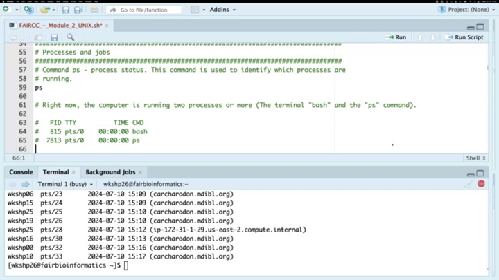 UNIX Jobs and Processes - FAIR2024