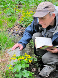 "Climate Change Comes to Thoreau’s Concord" - Richard Primack ...