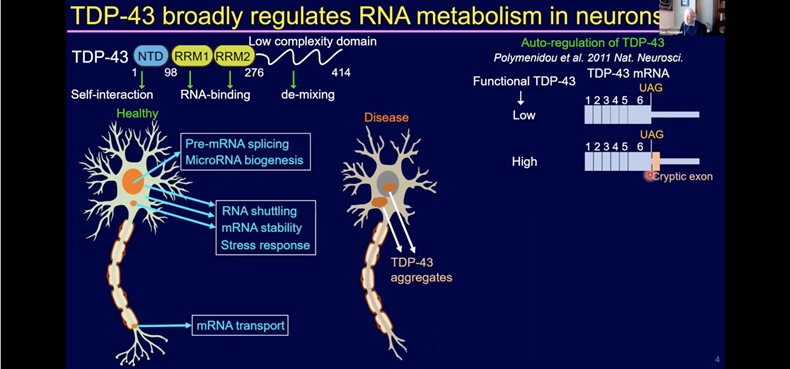 Don Cleveland- 5/19/21