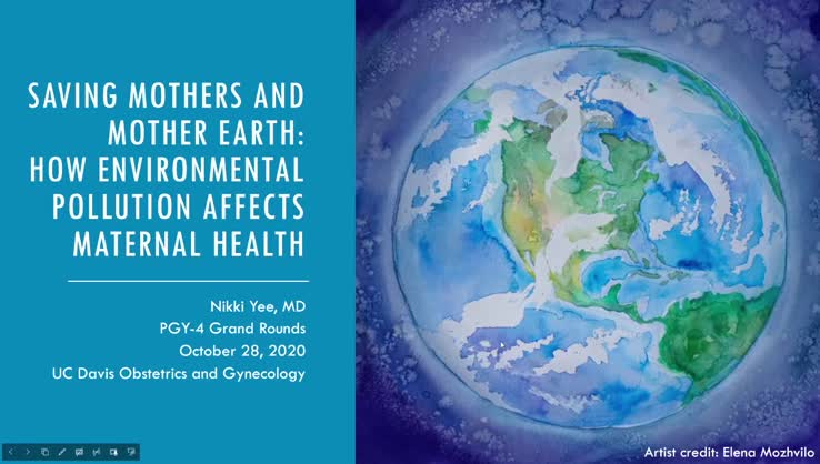 Saving Mothers and Mother Earth: How Environmental Pollution Affects ...