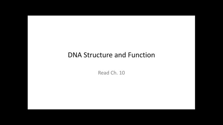 Chapter 10 - DNA Structure and Function
