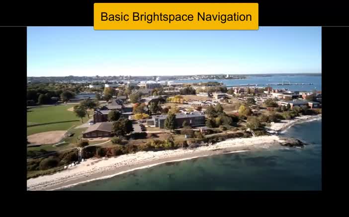 Basic Brightspace Navigation