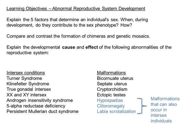 Abnormal Reproductive System Development