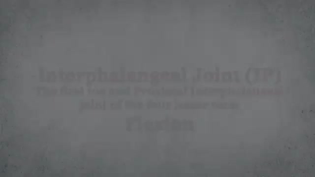 Interphalangeal Joint IP Flexion