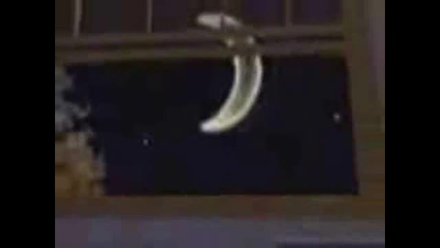 Whaley & Wong's Pediatric Nursing Series: Growth and Development