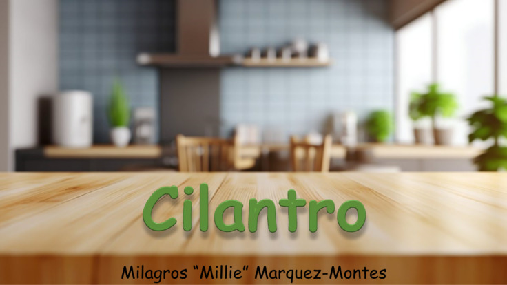 Cilantro