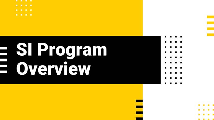 SI Program Overview