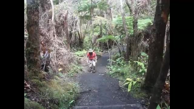 Biomes and Climate Change: The Rainforest