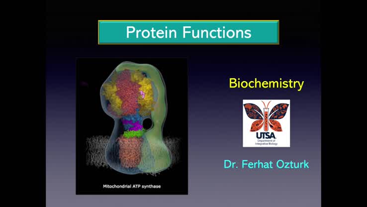 Protein Functions - Part1