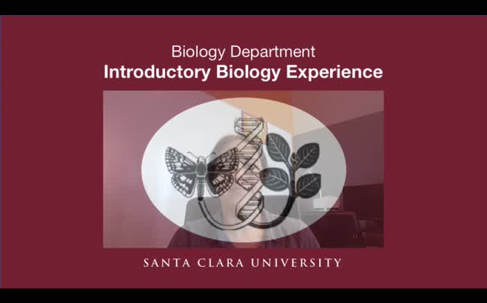 Lab 3 intro - BIOL1B_22S