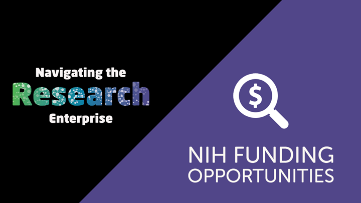 NIH Funding Opportunities