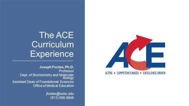 ACE Curriculum Overview Fontes 2020