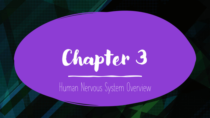 NEUR 125 Chapter 3 Lecture 1