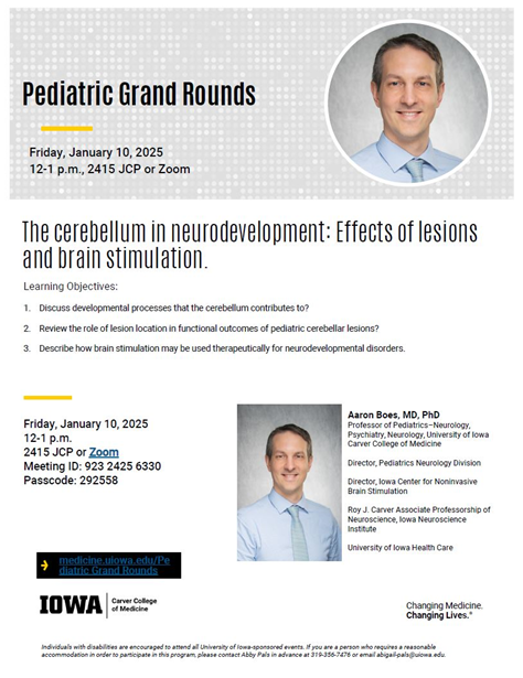 Pediatric Grand Rounds - Dr. Aaron Boes "The cerebellum in ...