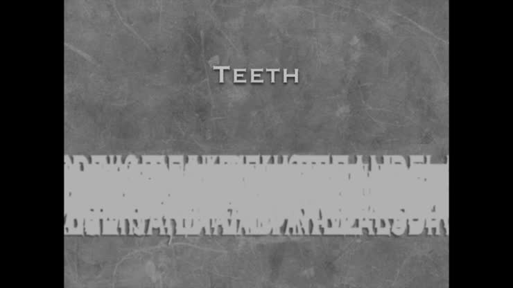 512-Large Animal Teeth