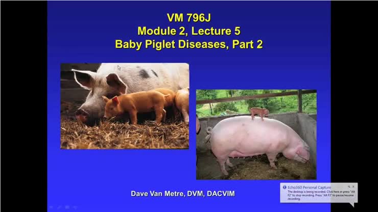 Lecture 5 Module 2 Piglet Dz Part 2