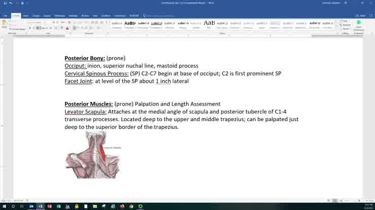 Cervical Palpation Lab 1_Part 3