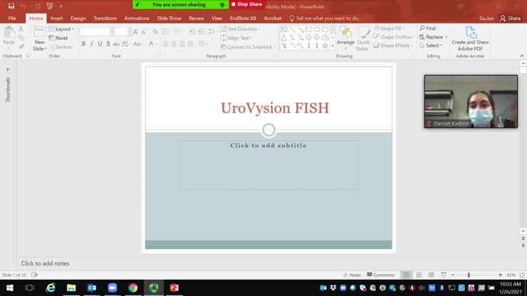 UroVysion FISH