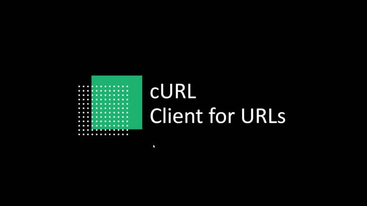 CS 240 - cURL Client for URLs