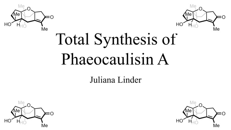 Juliana Linder: Total Synthesis of Phaeocaulisin A