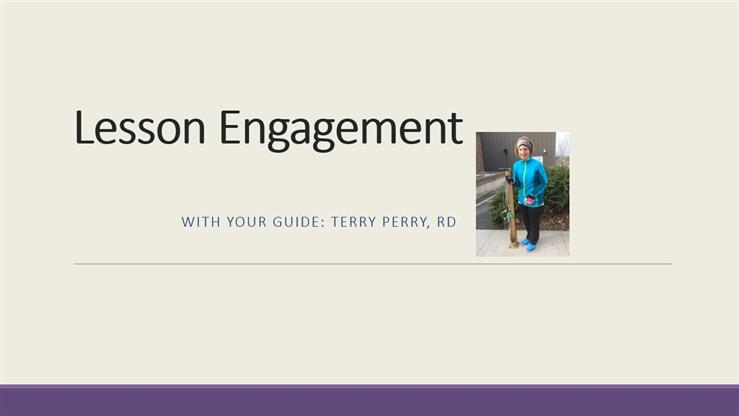 Lesson Engagement Webinar