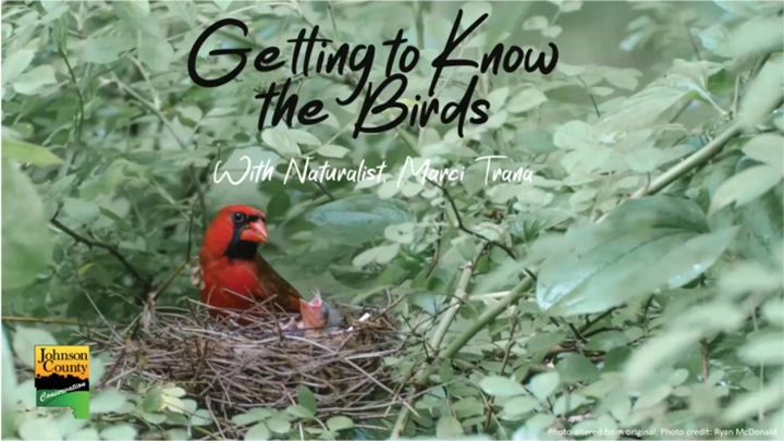 UIRA Program: Getting to Know the Birds with Marci Trana