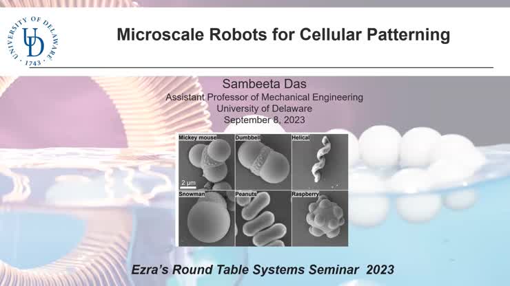 SYSEN 6100/Ezra's Roundtable on 9/7/2023 - Dr. Sambeeta Das