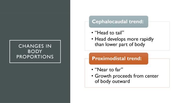 Chapter 4 Physical Development in Infancy and Toddlerhood