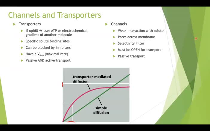 TA Review Video - Recitation 6