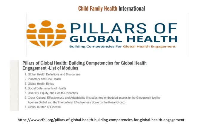 CFHI Global Health Pillars Overview_msc