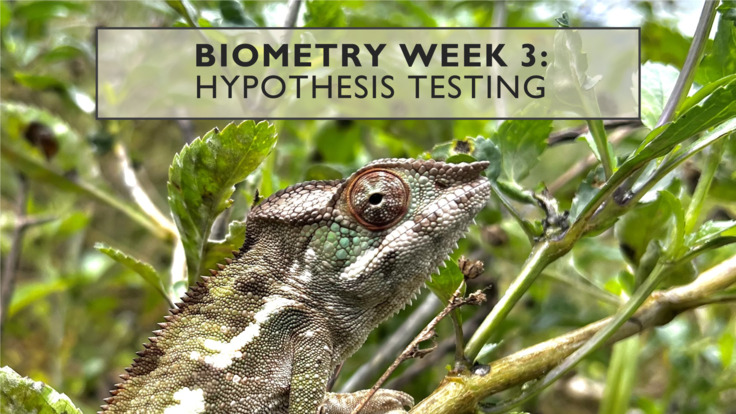 Week 3 Biometry - Tuesday lecture