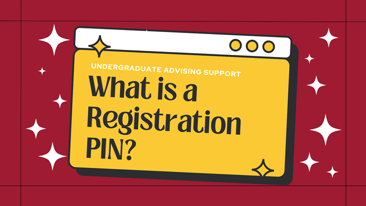 What is a Registration PIN?