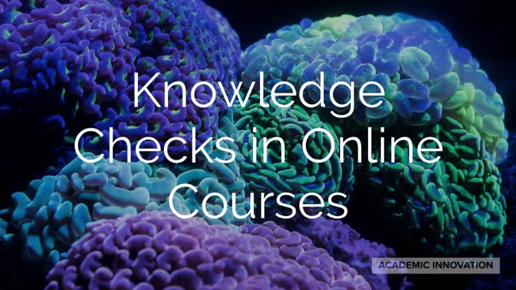 Knowledge Checks in Online Courses