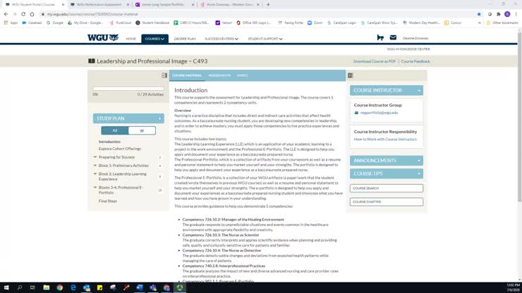 C493 JMP1 Professional E-Portfolio
