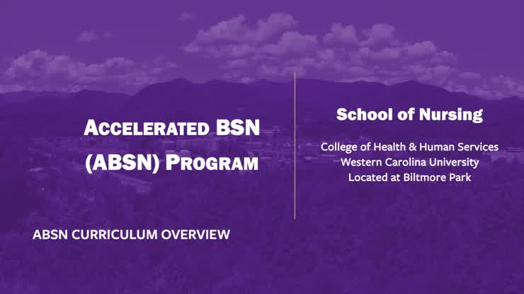 ABSN Curriculum Overview