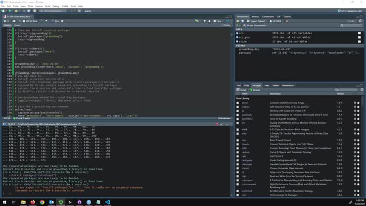 Running and Understanding R Code (normalized)