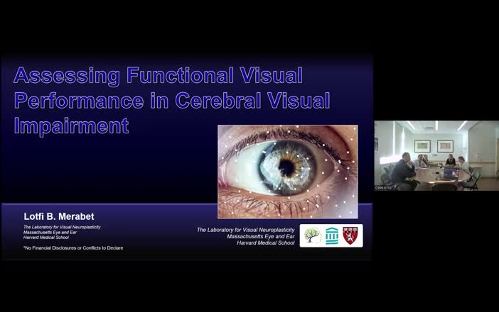 Assessing Functional Visual Performance in Cerebral Visual Impairment