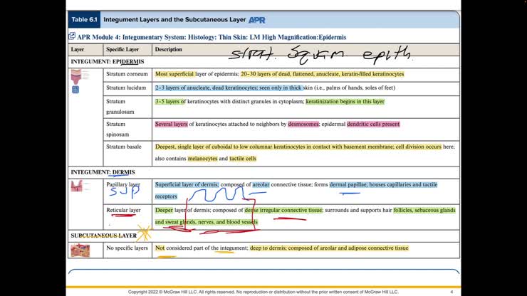 Integument Summary and Table 6.1 with MCCC (9 min)