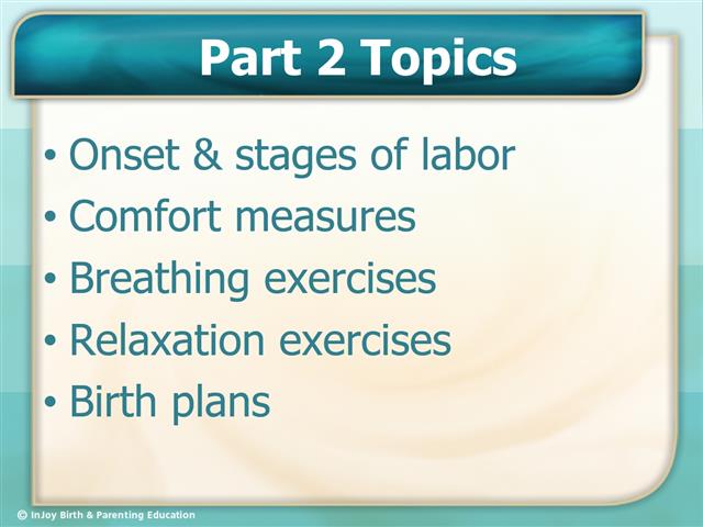 Understanding Birth Module 2