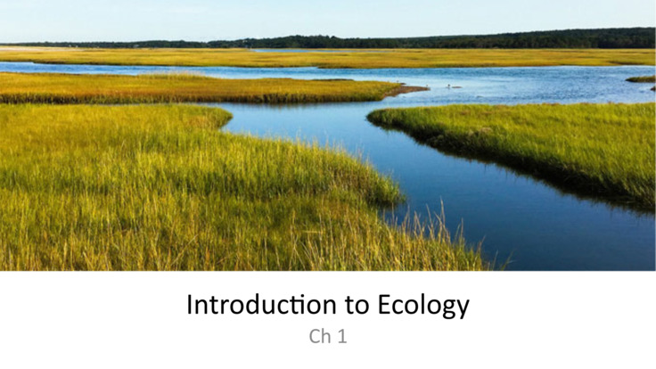 Introduction to Ecology