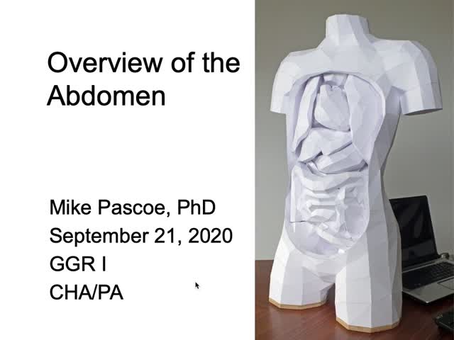 Overview of the Abdomen