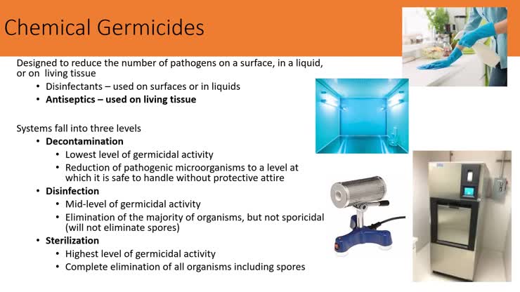 Chemical Germicides