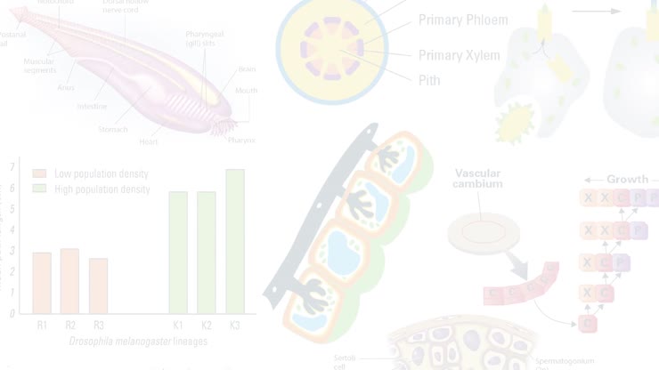 Hormonal Regulation of Reproduction