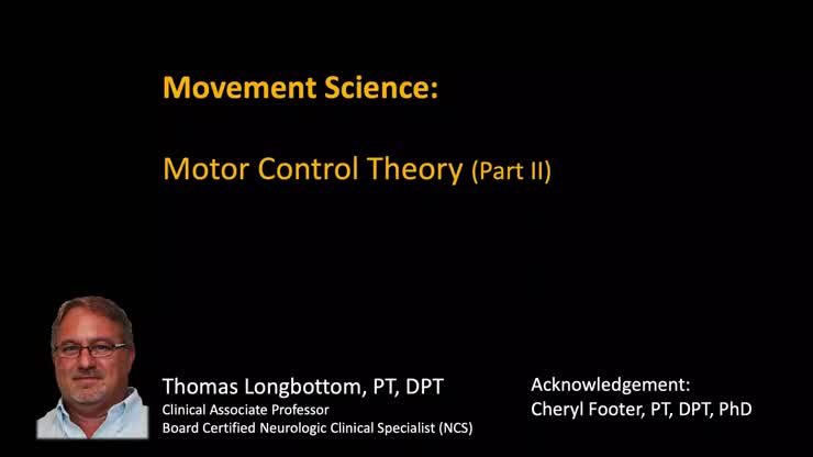 Motor Control Theory 2