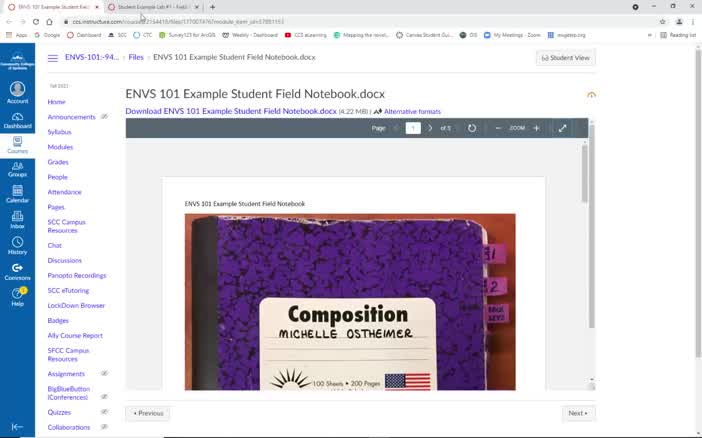 Field notebooks & summary report