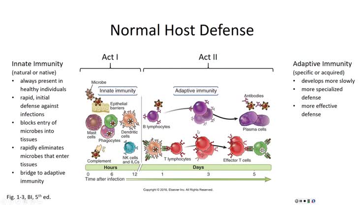 BARRINGTON Generation of Antibody-mediated Defense PII F 2022 (PRE ...