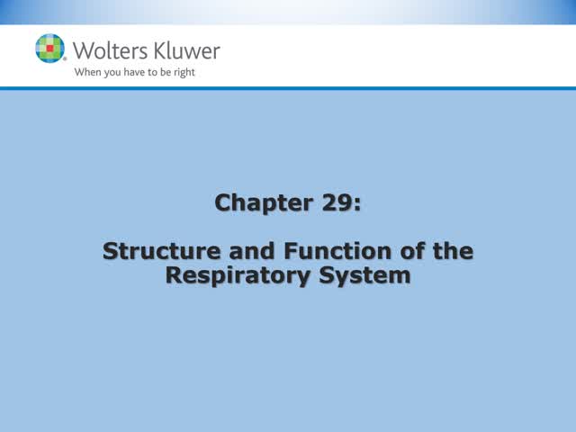 3-6-2024 Pre-recorded ppt lecture Chapter29 -patho