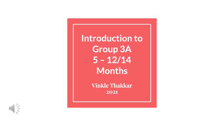 Introduction to Group 3A