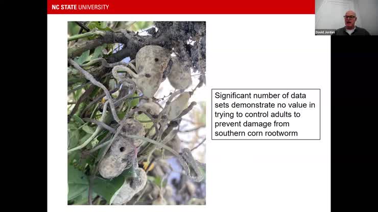 Effectiveness of Sequential Sprays of Insecticides to Control Adults of ...